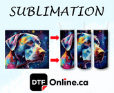 DTF Online | Buy #1 DTF Transfers Canada | Custom DTF Prints in Canada – DTFOnline.Ca